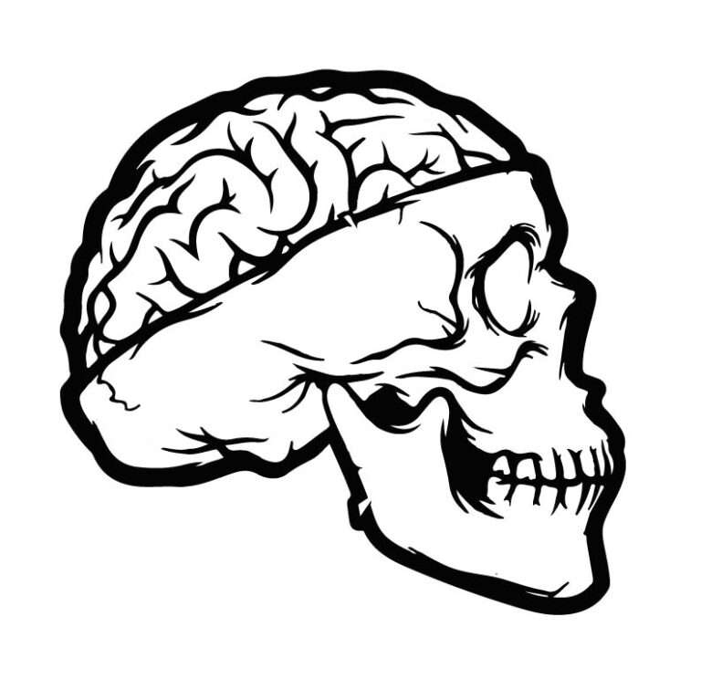 💀🧠 Skull brain VECTOR